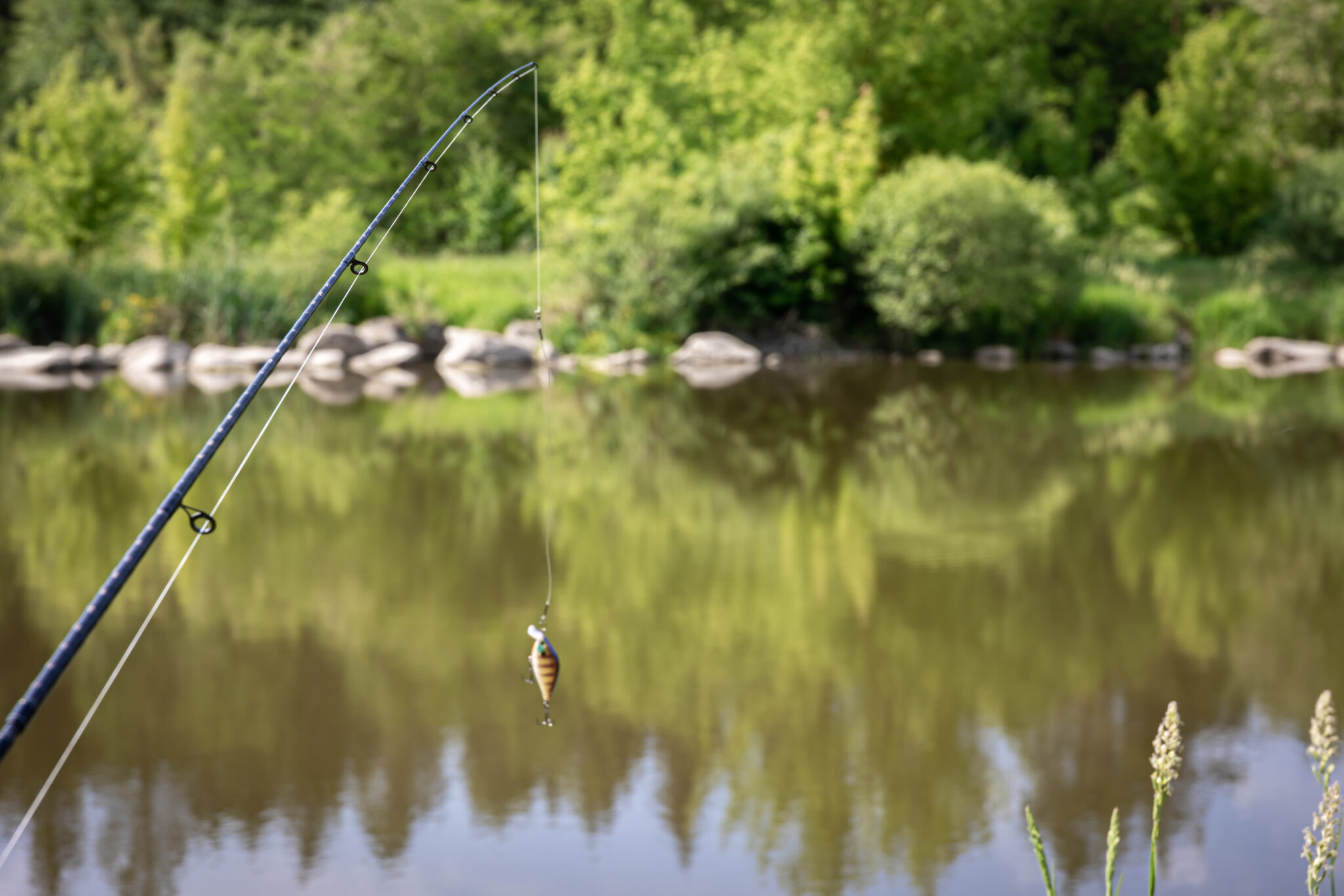 Comment pêcher le sandre ? Les Techniques et Astuces | Nohô