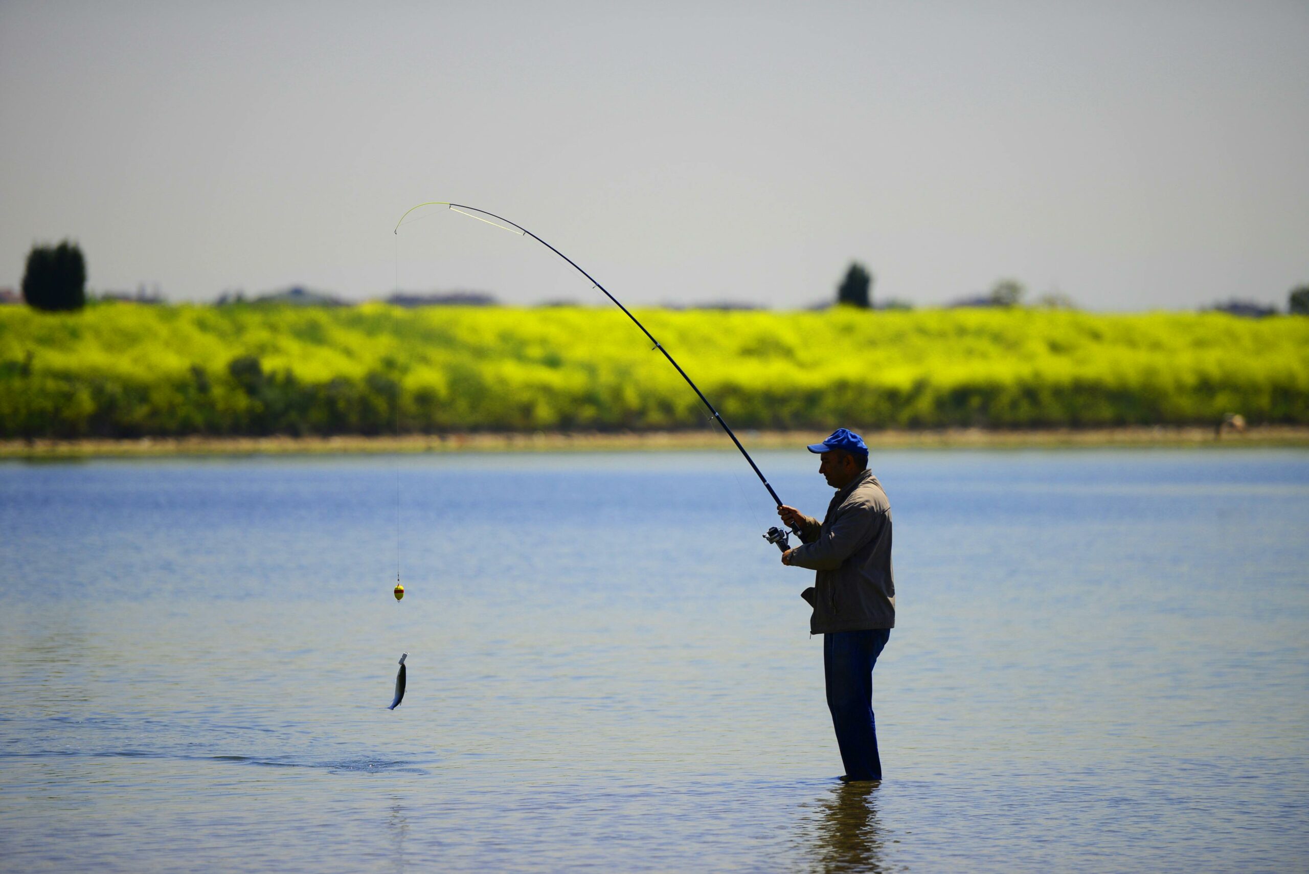 Comment pêcher la perche ? Les Techniques et Astuces | Nohô